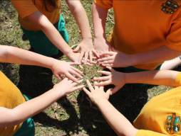 Special Education Program